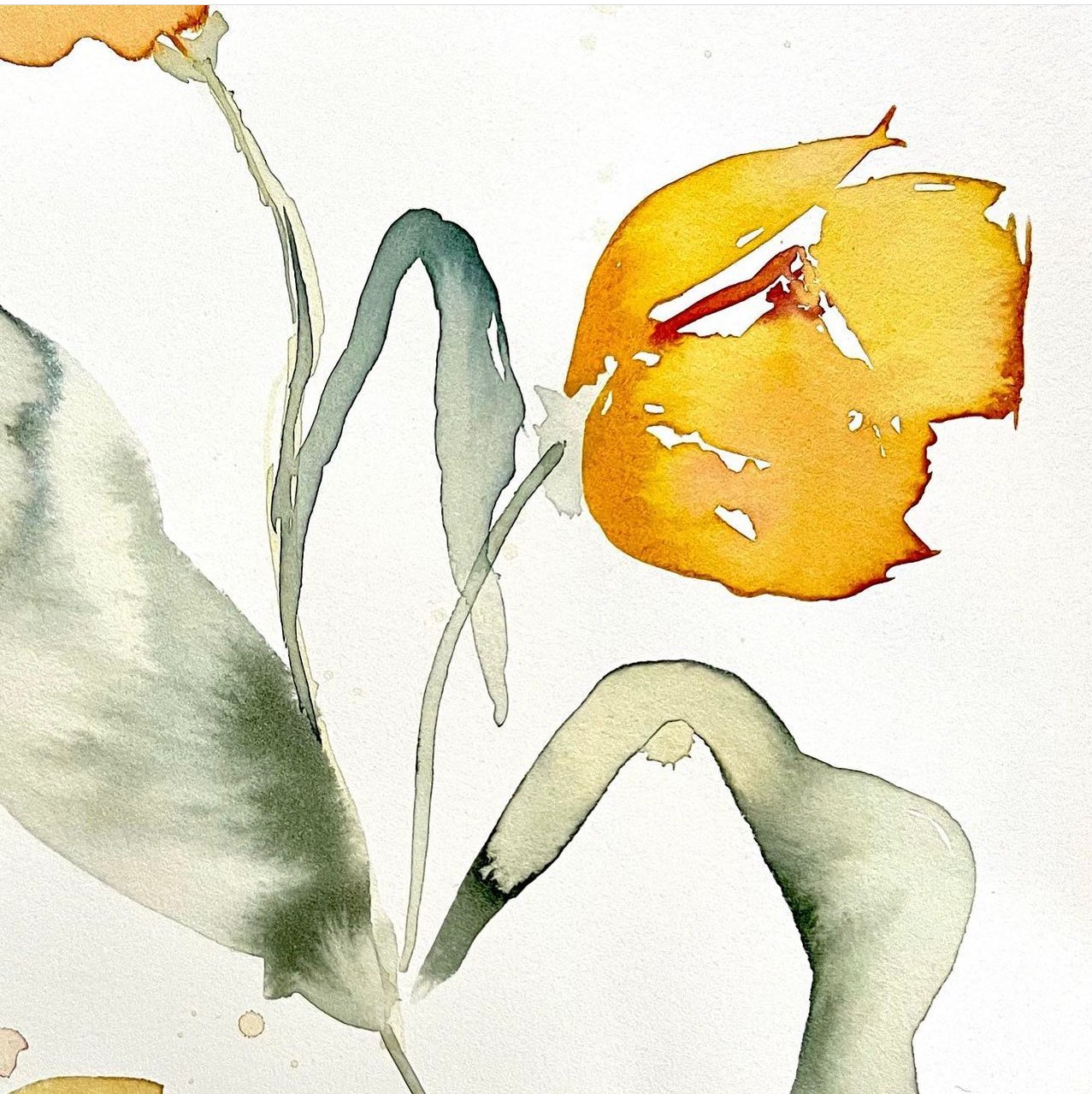 Carolina Skott-Appelgren